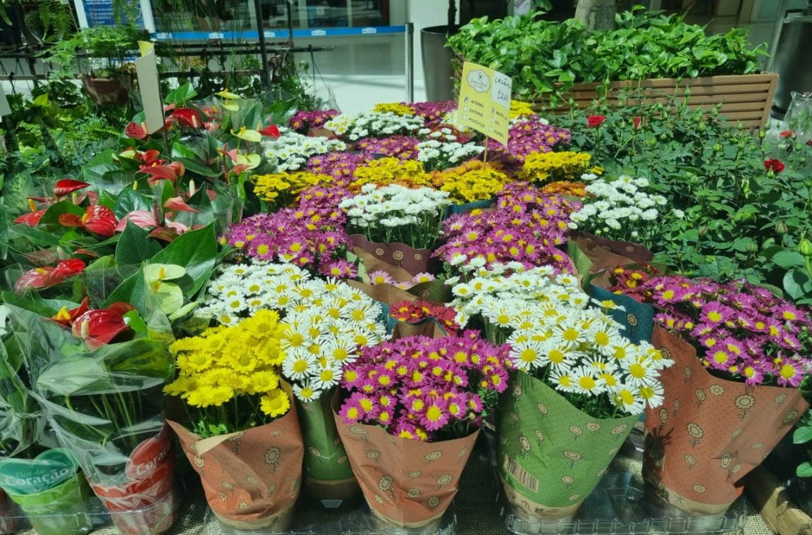 Primavera inicia no Shopping Bela Vista com Feira de Flores de Holambra ...